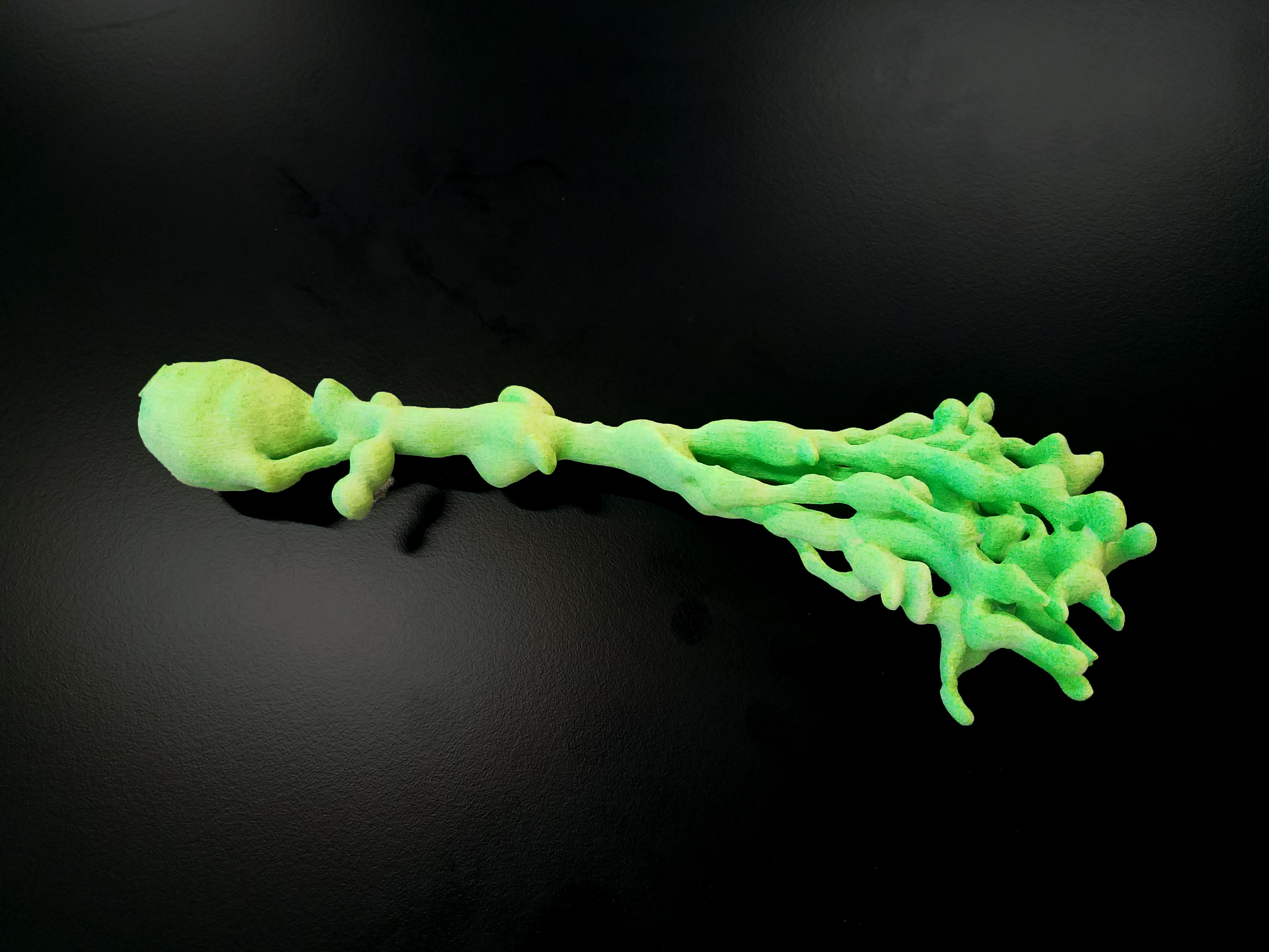 Neuron : Brown University Library Brown University Library News