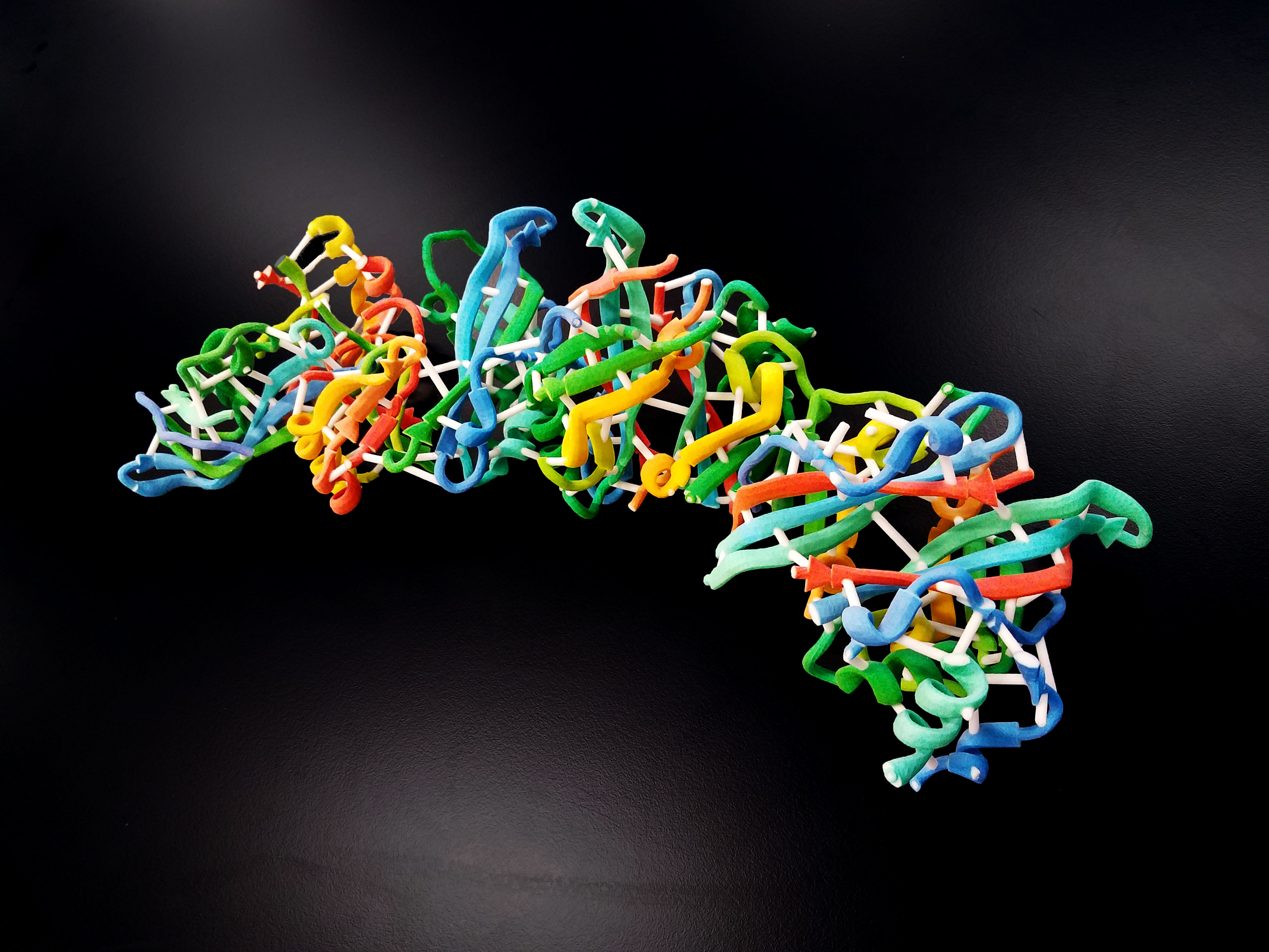 Protein-2 : Brown University Library Brown University Library News