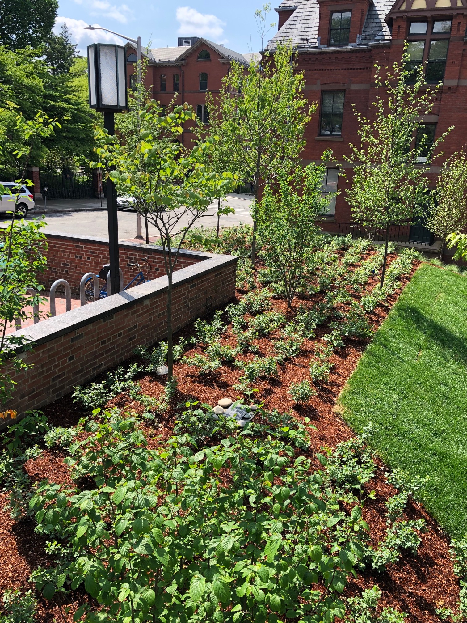 Announcement | Landscape Update at the Rockefeller Library : Brown ...