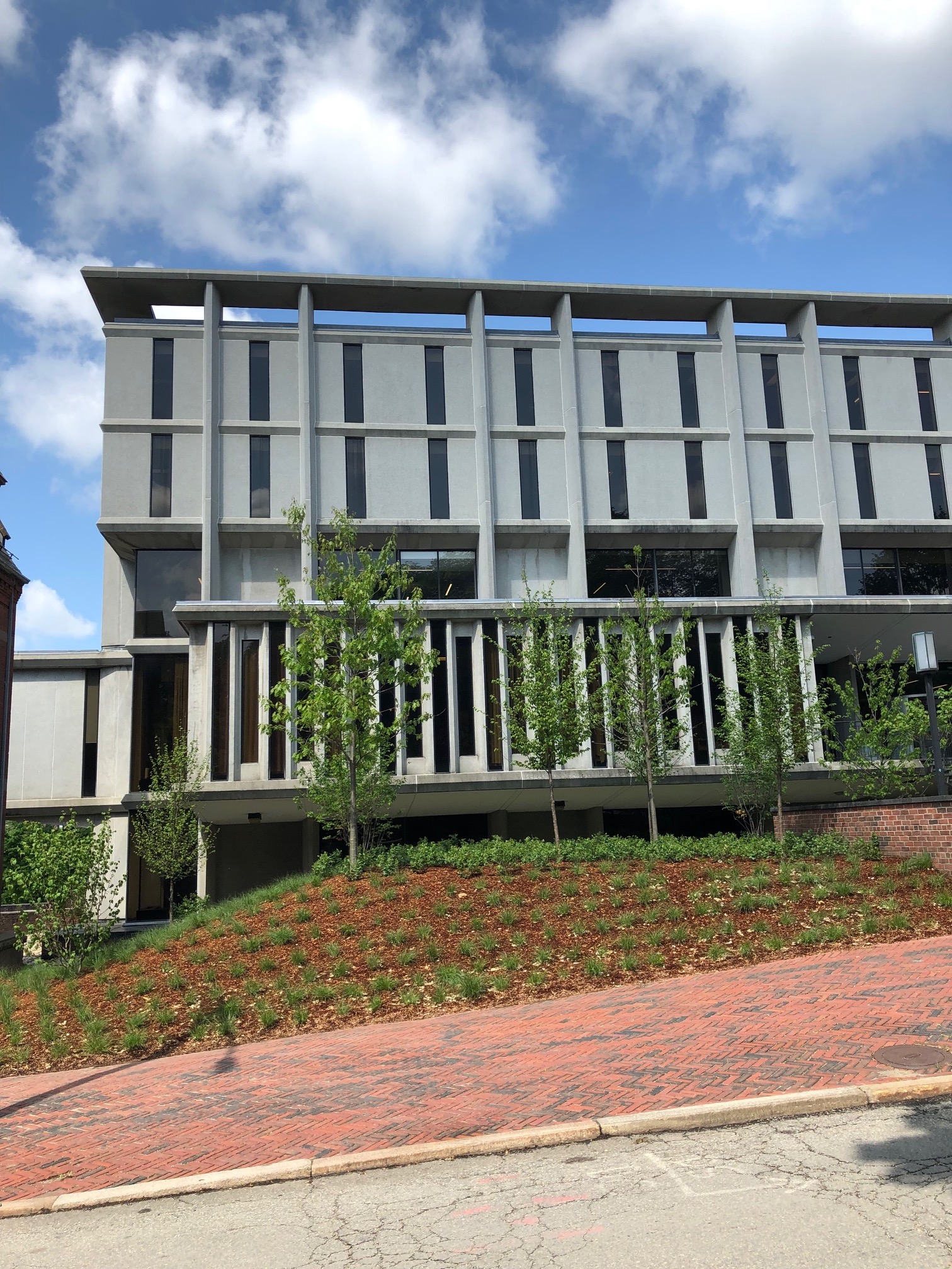 Announcement | Landscape Update at the Rockefeller Library : Brown ...