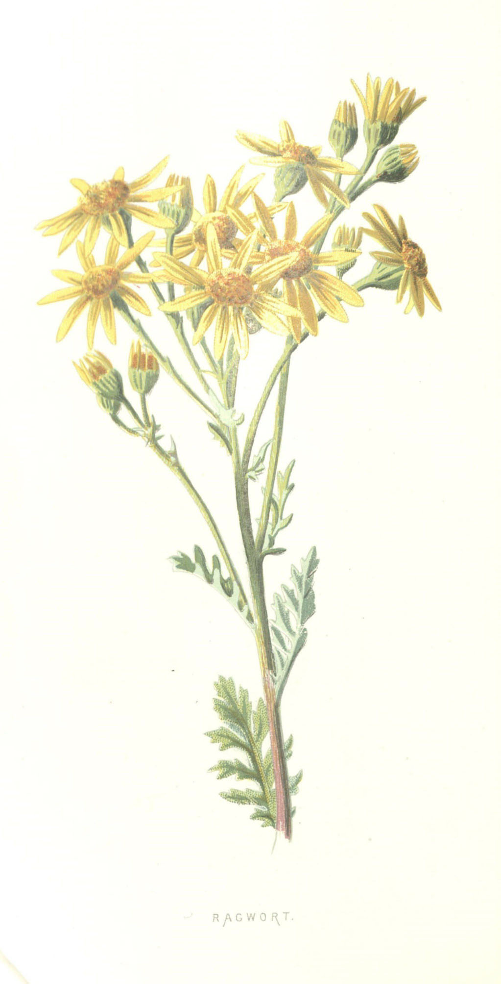 John Hay Library :: Brown University Library